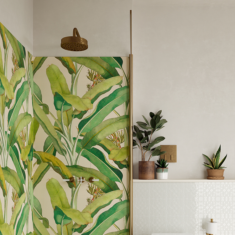 Paper41 Pro : ECLAT KOREA