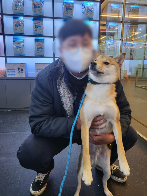 시바이누 순이 유기견입양 유기묘입양 강아지입양 소형견입양 중형견입양 대형견입양 말티즈입양 말티푸입양 비숑프리제입양 미니비숑프리제입양 포메라니안입양 푸들입양 골든리트리버입양