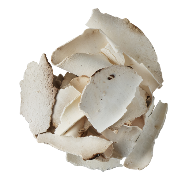 Wolfiporia extensa : Raw Materials