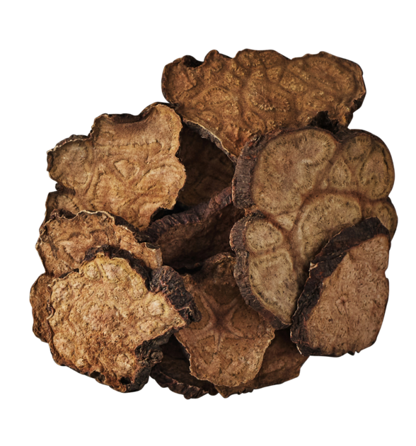 Polygonum multiflorum : Raw Materials