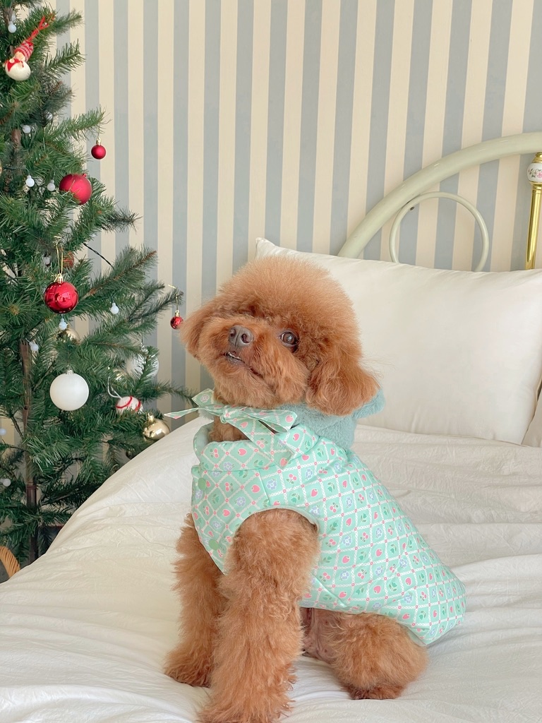 밍구르-캔디 베어 패딩 Candy Bear Padding