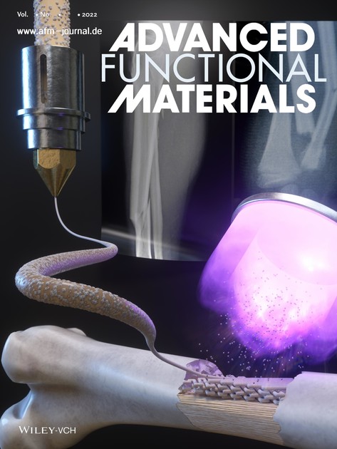 Topography-Supported Nanoarchitectonics of Hybrid Scaffold for ...