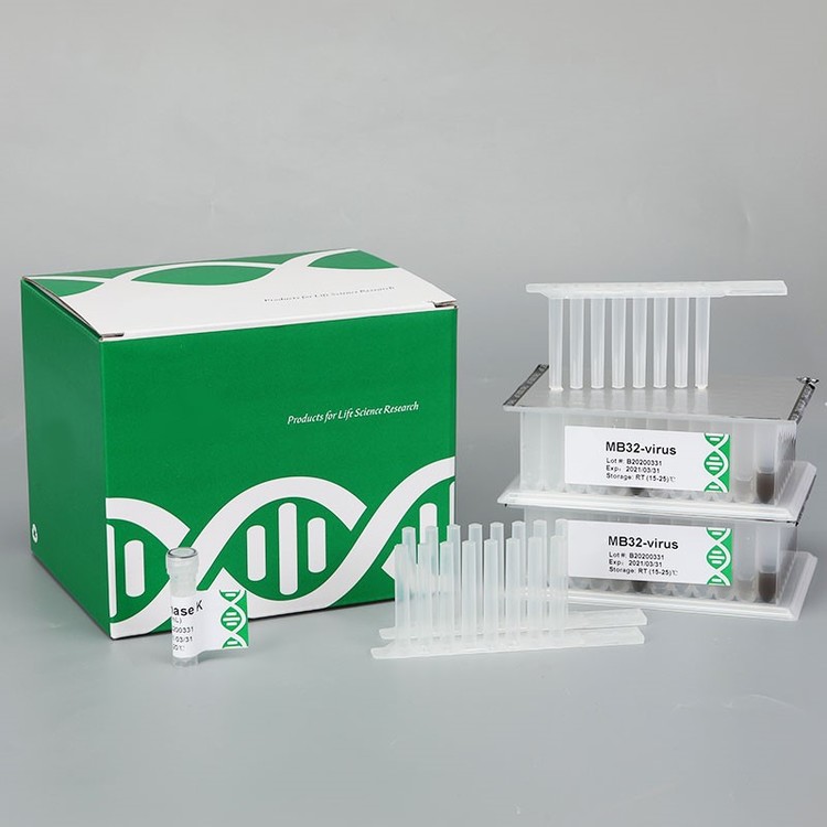 Animal Tissue Genomic DNA Extraction Kits (Pre-packed Magnetic Beads) : CHEMCOKOREA 켐코코리아