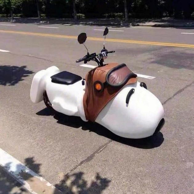 가끔 엉뚱해지고 싶을 때 💭 : 데일리패션뉴스 - dafanew