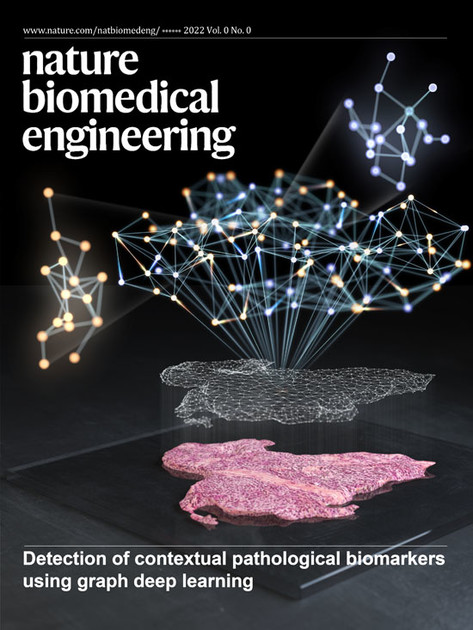 nature biomedical engineering : Publishing News