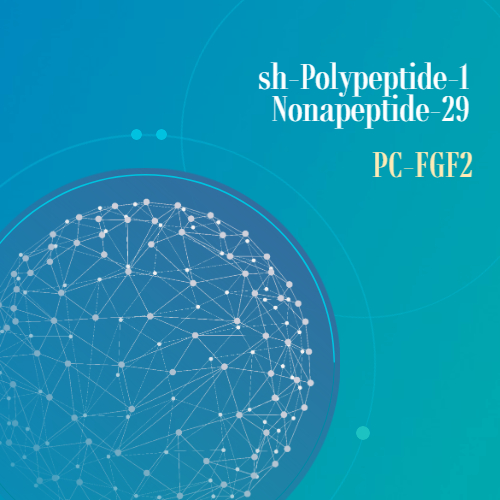 [PC-FGF2] sh-Polypeptide-1 Nonapeptide-29 : 프로셀테라퓨틱스