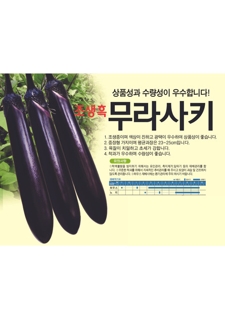 조생흑무라사키 권농종묘 고추 파프리카 토마토 가지