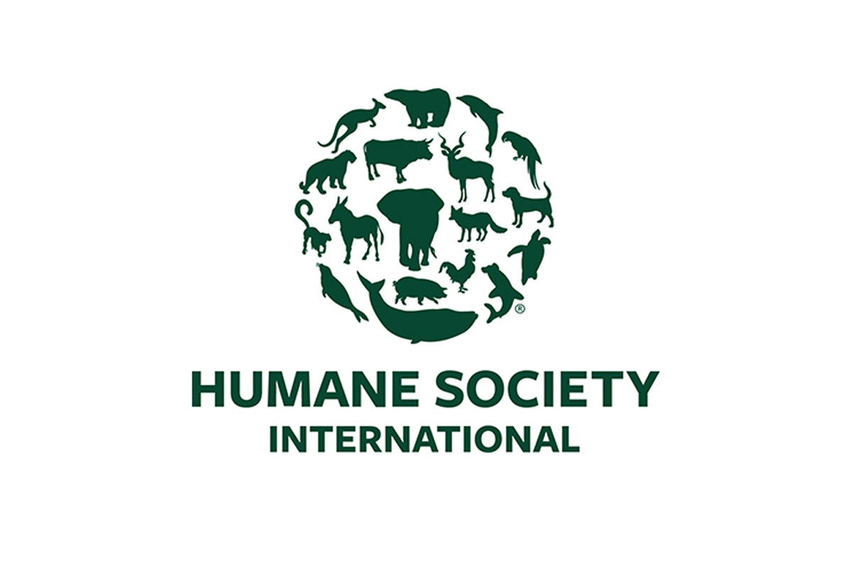 휴메인 소사이어티 인터내셔널 후원 : 곰 보금자리 프로젝트 : Project Moon Bear