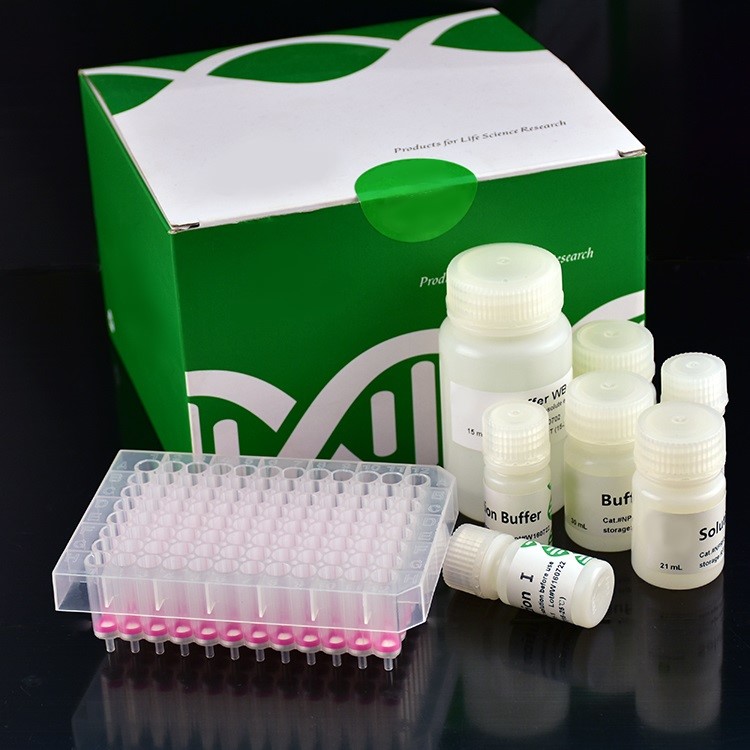 N96 Plant Genomic DNA Kit : CHEMCOKOREA 켐코코리아