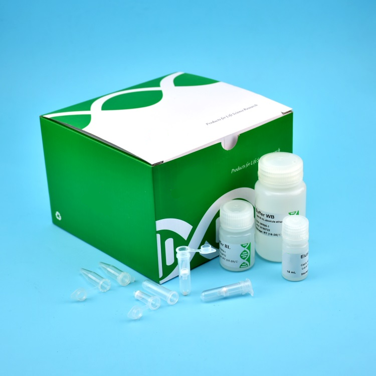Plasmid Preparation Kits (Spin Columns） : CHEMCOKOREA 켐코코리아