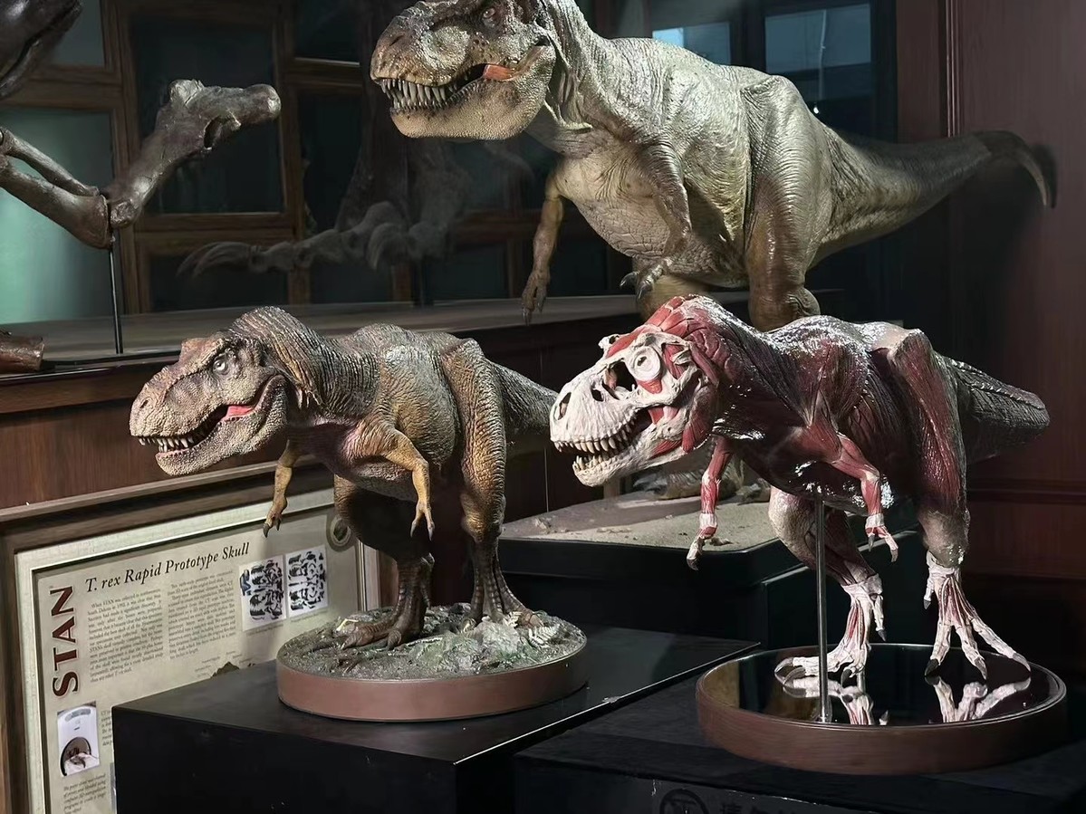 EVOLUTIO 1/12 SCALE T-REX ANATOMY MODEL : 고현생