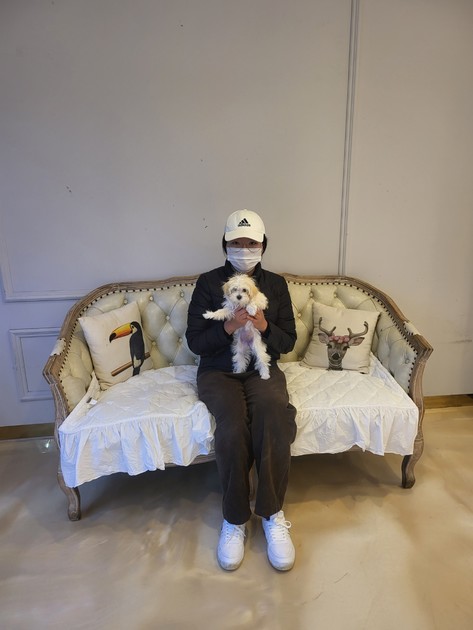 말티푸 솜이 사모예드책임분양 스피츠책임분양 시바견책임분양 시베리안허스키책임분양 시츄책임분양 요크셔테리어책임분양 웰시코기책임분양 이탈리아그레이하운드책임분양 치와와책임분양 코카