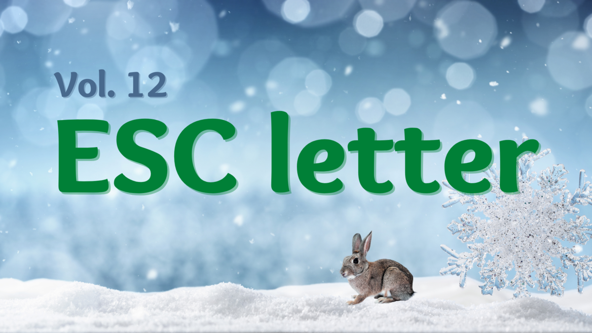[ESC Letter] Vol.12 AI 생성물 활용 윤리 문제 外 : 숲사이 이야기