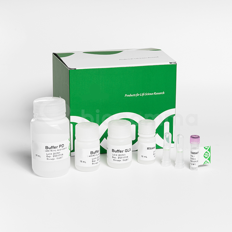 Soil Genomic DNA Kit (Spin Column) : CHEMCOKOREA 켐코코리아