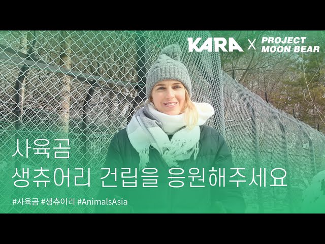 애니멀스 아시아 곰 돌봄 매니저 에이미의 화천 방문 : 곰 보금자리 프로젝트 : Project Moon Bear