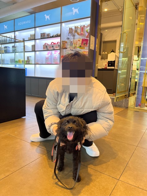 믹스견 둘이 푸숑책임분양 노르웨이숲책임분양 데본렉스책임분양 뱅갈책임분양 샴책임분양 셀커크렉스책임분양 스핑크스책임분양 아메리칸숏헤어책임분양 아메리칸컬책임분양 아비시니안책임분양