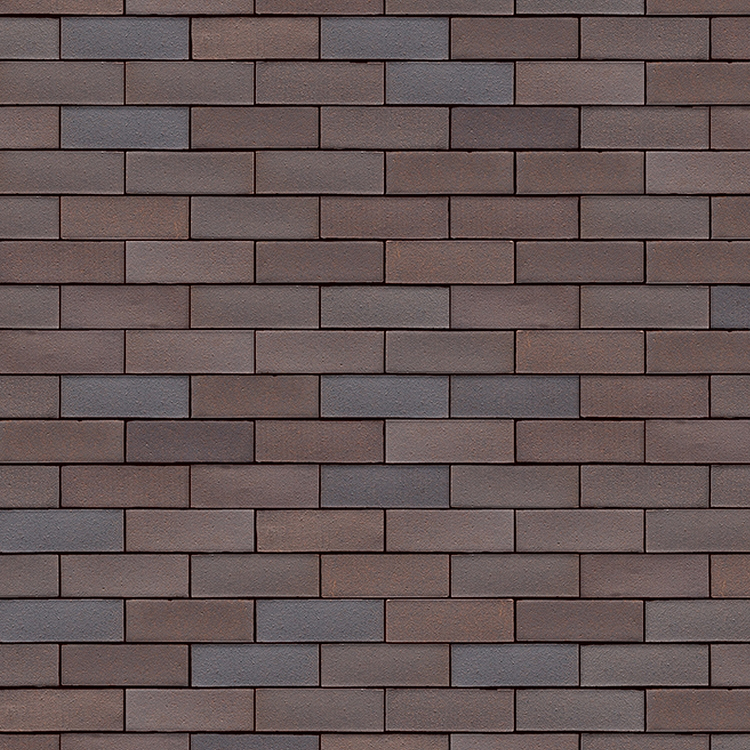 Cottbus : ECLAT KOREA