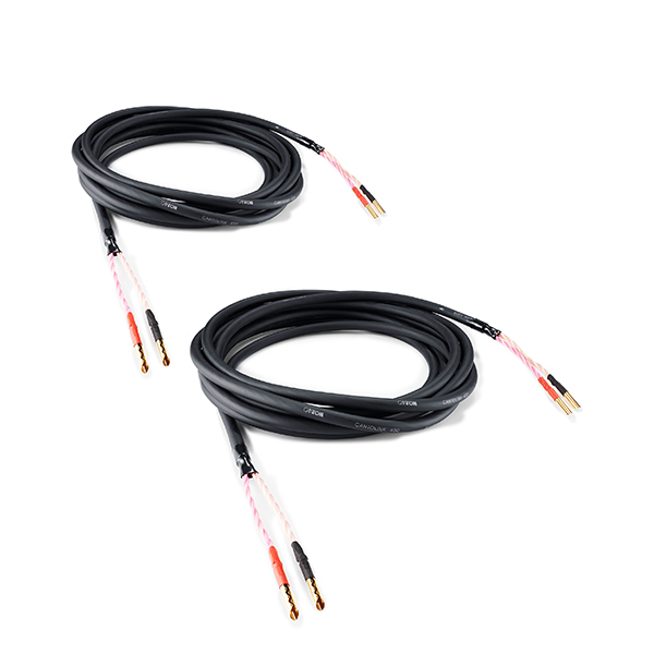 CantoLink 400 (Pair) : canton smart series