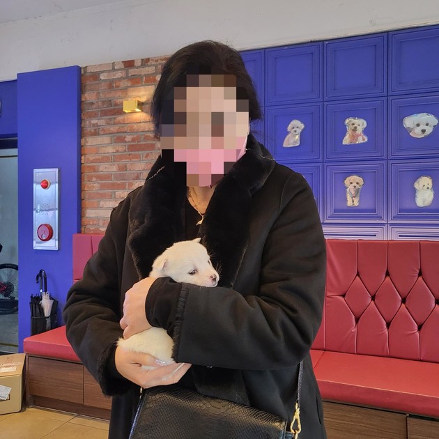 믹스견 빨강이 요크셔테리어무료입양사이트 웰시코기무료입양사이트 이탈리아그레이하운드무료입양사이트 치와와무료입양사이트 코카스파니엘무료입양사이트 폼스키무료입양사이트 폼치무료입양