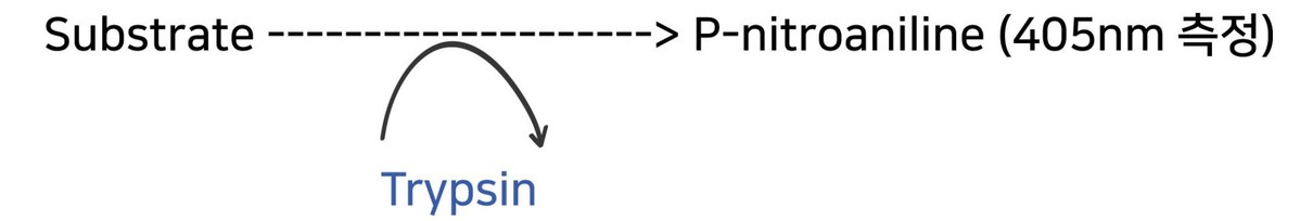 Trypsin Activity Assay Kit (ab102531) : Abcam 제품 소개