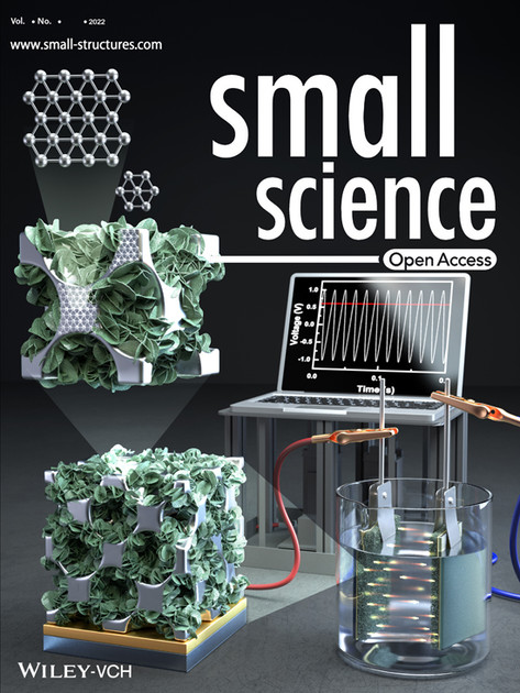 Wiley_Small Science : nanosphere.co.kr