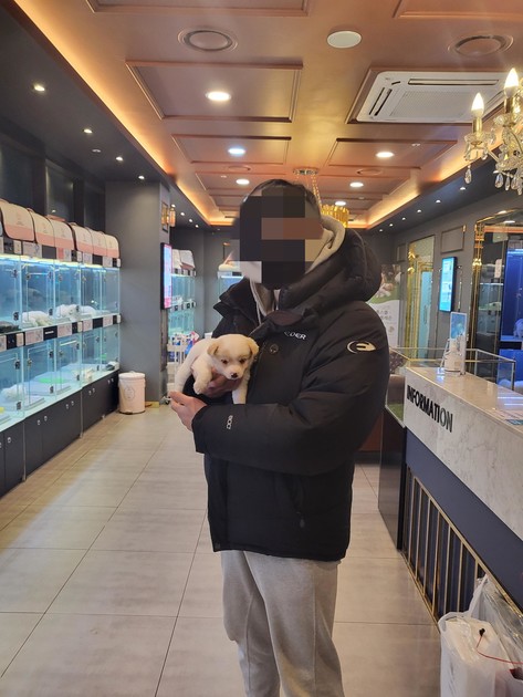 믹스견 초 강아지책임분양 고양이책임분양 유기견책임분양 유기묘책임분양 연예인강아지분양하는곳 연예인고양이분양하는곳 골댕이무료분양 강아지입양보내기 고양이입양보내기 강아지분양사이트