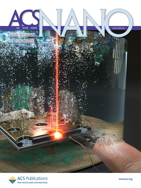 RETURN TO ISSUEPREVARTICLENEXT Real-Time Underwater Nanoplastic ...