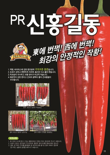 Pr신홍길동 권농종묘 고추 파프리카 토마토 가지