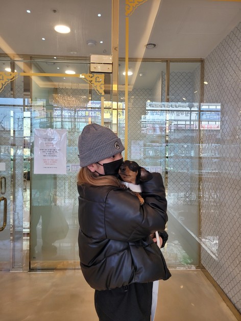 닥스훈트 까미 비숑프리제무료입양사이트 포메라니안무료입양사이트 말티즈무료입양사이트 말티푸무료입양사이트 푸들무료입양사이트 먼치킨무료입양사이트 랙돌무료입양사이트 브리티쉬숏헤어무료