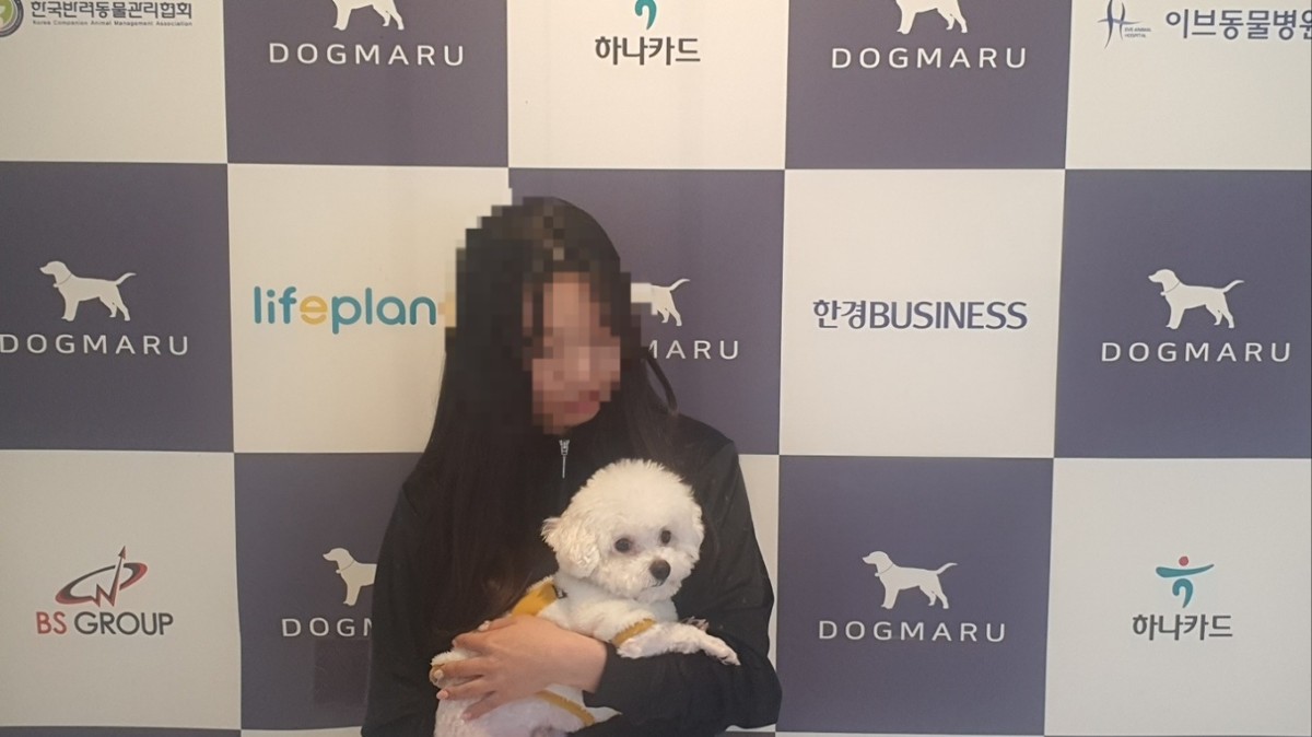 비숑프리제 찐빵 말티푸전문무료분양 푸들전문무료분양 먼치킨전문무료분양 랙돌전문무료분양 브리티쉬숏헤어전문무료분양 스코티쉬폴드전문무료분양 러시안블루전문무료분양 강아지전문무료분양