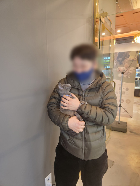 러시안블루 치즈 셀커크렉스무료입양사이트 스핑크스무료입양사이트 아메리칸숏헤어무료입양사이트 아메리칸컬무료입양사이트 아비시니안무료입양사이트 엑조틱무료입양사이트 터키시앙고라무료입양