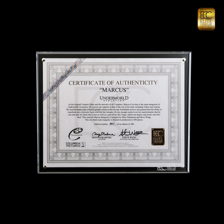 ECC Limited Edition COA Frame : 고현생