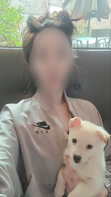 진도믹스 남 샴분양가격 셀커크렉스분양가격 스코티쉬폴드분양가격 스핑크스분양가격 아메리칸숏헤어분양가격 아메리칸컬분양가격 아비시니안분양가격 엑조틱분양가격 터키시앙고라분양가격 페르