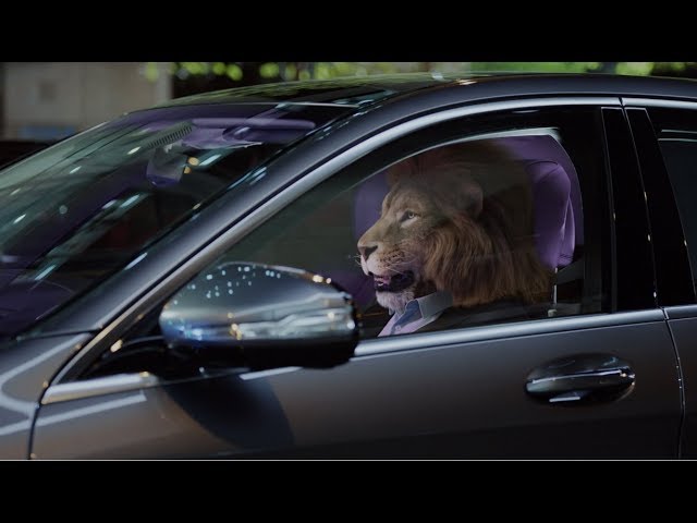 동물얼굴 사람 : 레퍼런스 창고- Badak