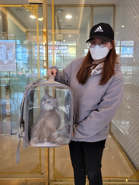 렉돌믹스 루이 토이브리티쉬숏헤어입양 토이스코티쉬폴드입양 토이러시안블루입양 토이강아지입양 토이고양이입양 오드아이먼치킨무료분양 오드아이랙돌무료분양 오드아이브리티쉬숏헤어무료분양