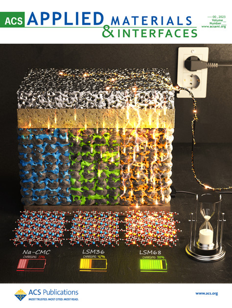 ACS_Applied Materials & Interfaces : nanosphere.co.kr