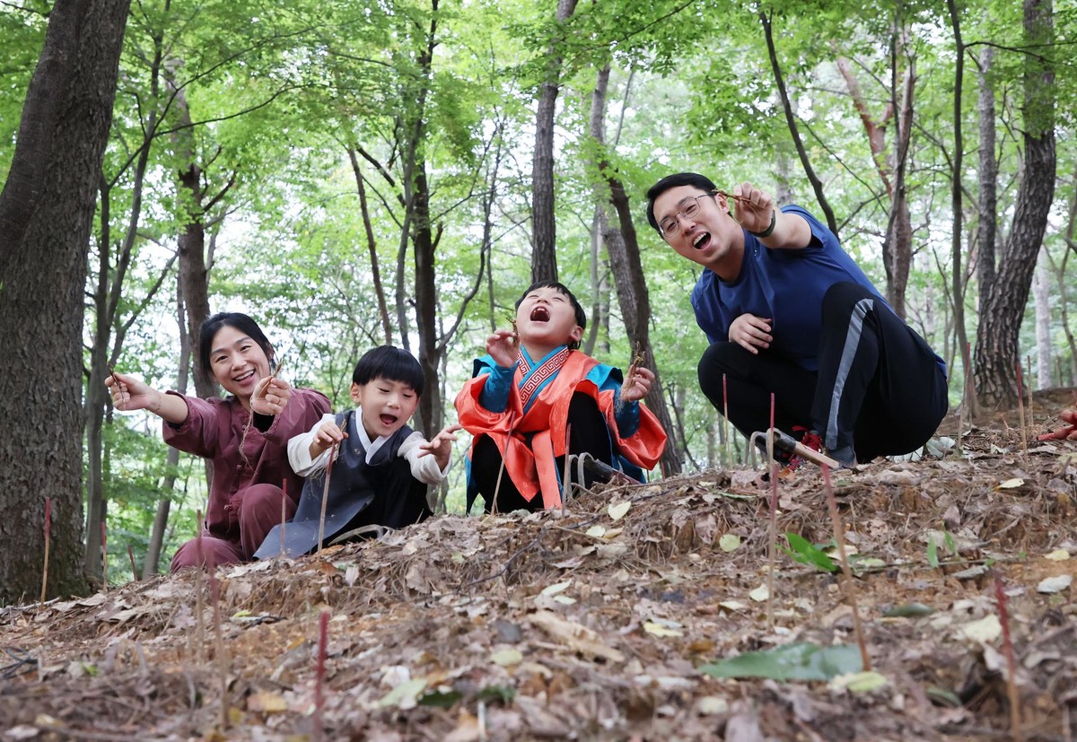 Jirisan wild ginseng digging experience : ART SPACE of myKorea.kr