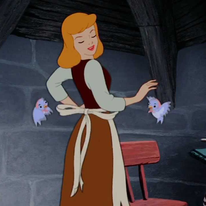 Cinderella Brown Dress