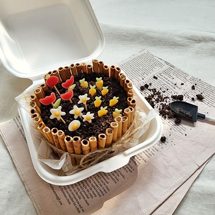 아이솜씨 텃밭 도시락 케이크 만들기 키트 : 아이솜씨