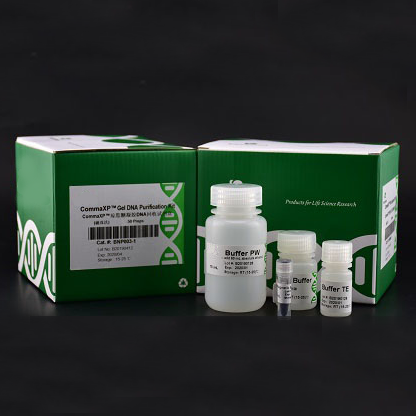 Mini Plasmid Purification Kit （Magnetic Beads) : CHEMCOKOREA 켐코코리아