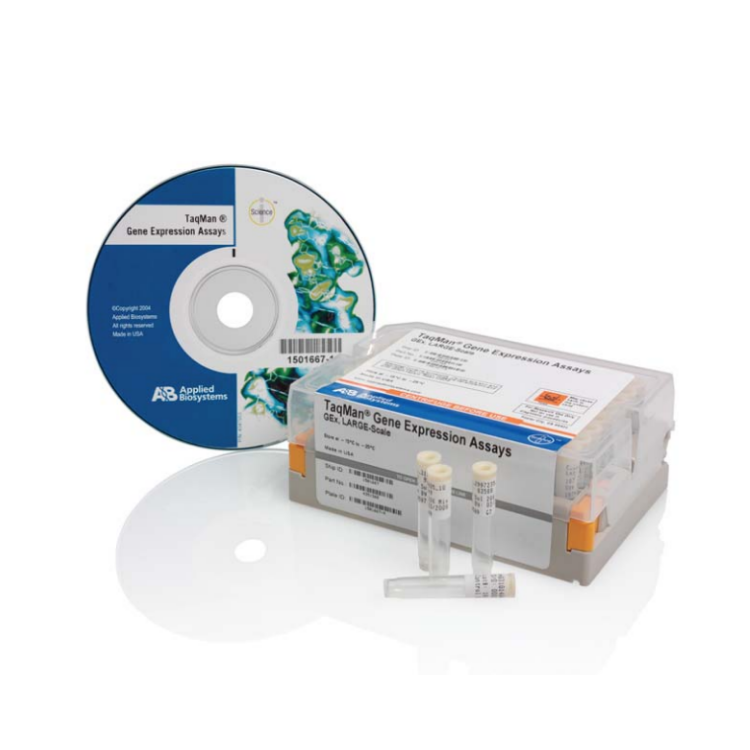 Abcc2 TaqMan Gene expression Assay-FAM_MGB : HLB바이오스텝 B2B MALL