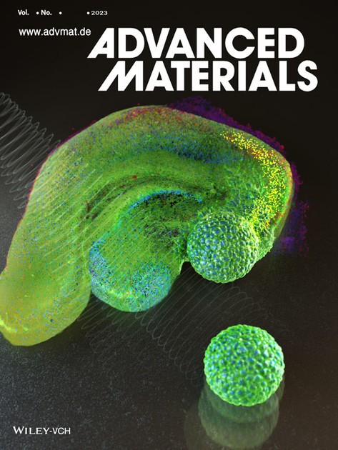 Wiley_ADVANCED MATERIALS : Publishing News