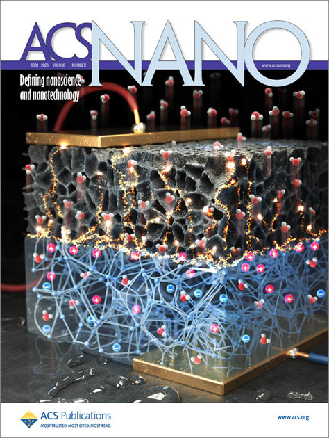 ACS_NANO : Publishing News