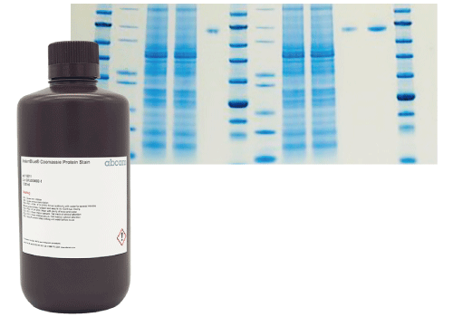 InstantBlue® Coomassie Protein Stain : Abcam 제품 소개