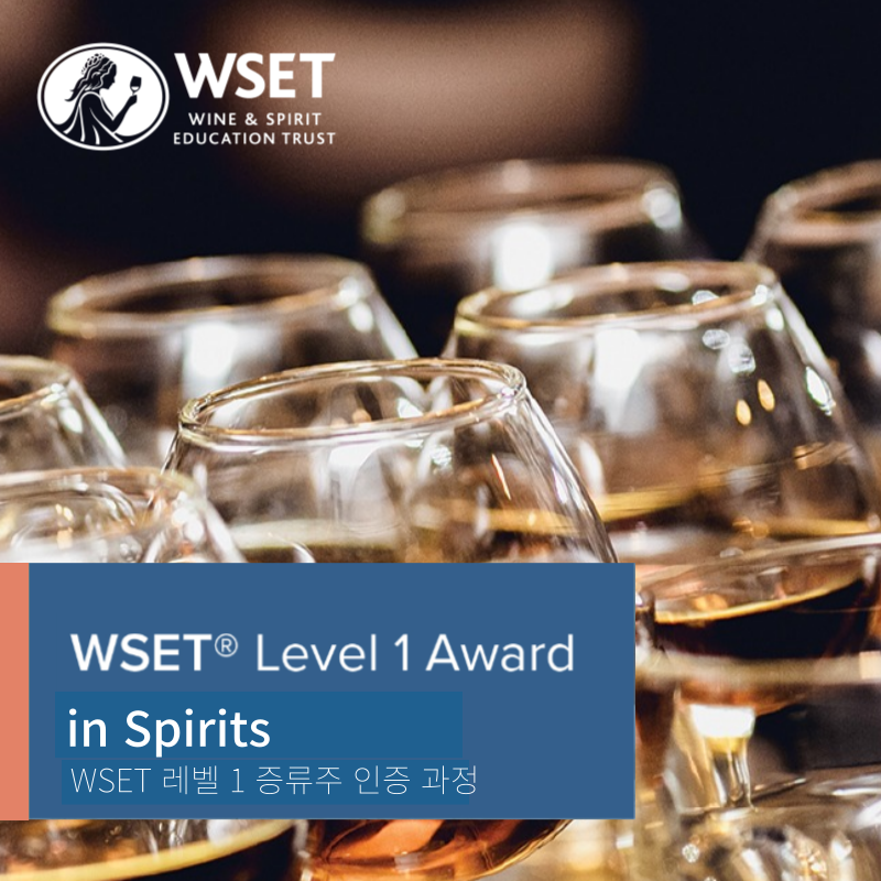 와인비전 아카데미 | WSET, CMS, WSG 인증