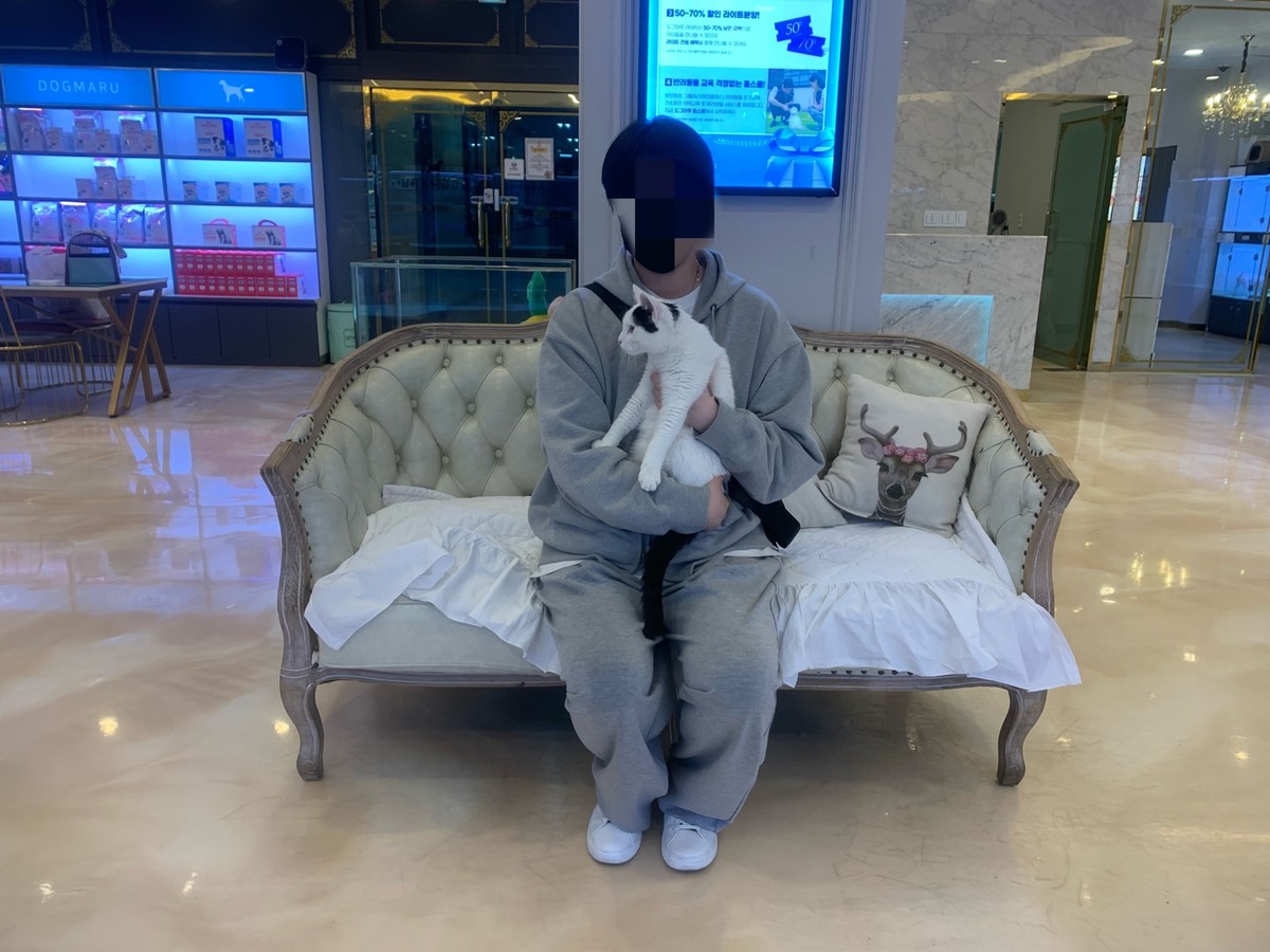 코숏 이틀이 애완견성격 반려견성격 소형견크기 중형견크기 미니비숑프리제크기 토이푸들크기 골든리트리버크기 래브라도리트리버크기 닥스훈트크기 도베르만크기 말티치크기 말티폼크기 보더