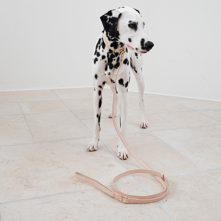 SMIER H-dust pink dog leash_클리어런스 : 스미어
