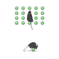 Mouse behavior test : INFOGRAPHY (인포그라피)