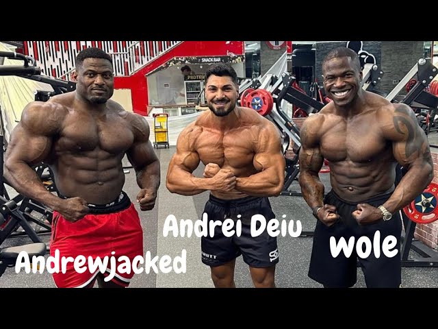 앤드류 잭드 안드레이 데이유 어깨 Andrew Jacked Andrei Deiu Shoulder : 프로 훈련법 - 제로투히어로