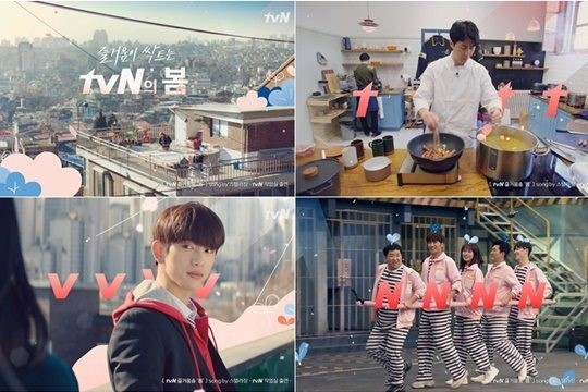 tvN 출연료 지급 현황 : JYDMC